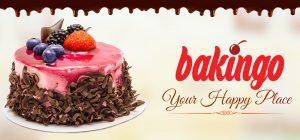 Welcome to the World of Bakingo!