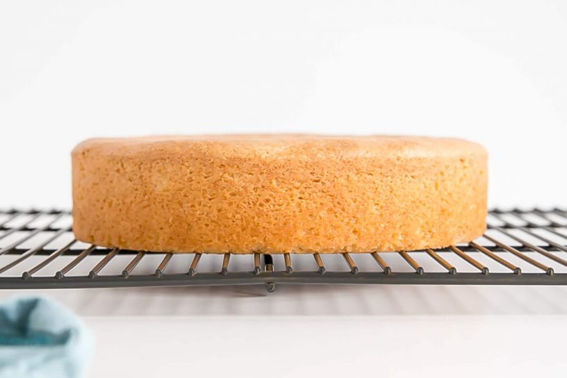 How to Fix A Broken Cake | Tips to Set a Messed Cake