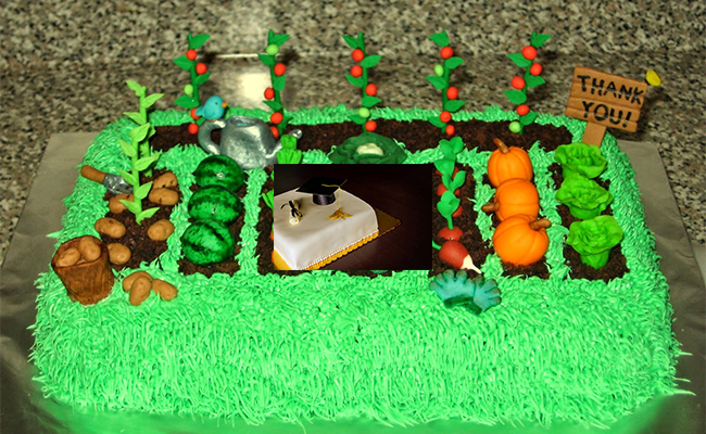 Best Teachers Day Cake Ideas to Surprise Your Teacher