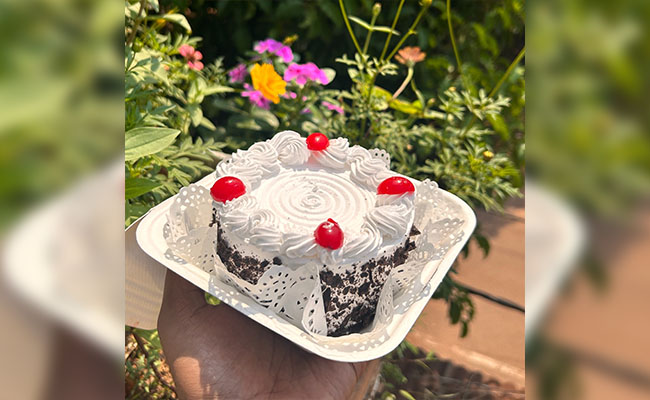 Top Trending Bento Cake Flavours to Try in 2025